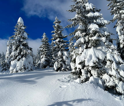 whistler winter hikes