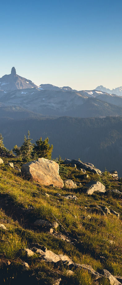 blackcomb peak temperature