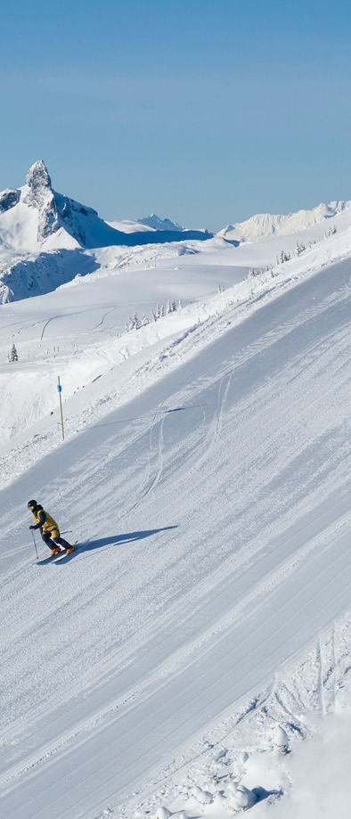 Whistler forecast store