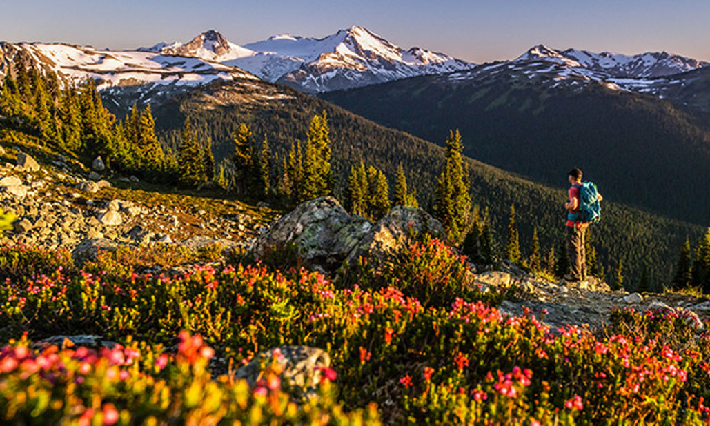 whistler winter hikes