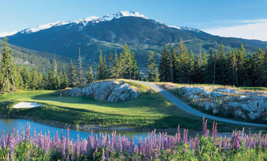 Whistler Summer